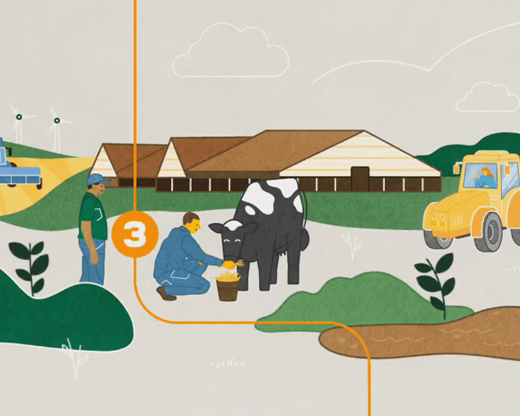 Our Sustainable Farming Commitment | Arla UK