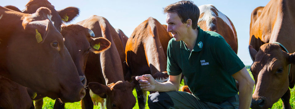 Arla in other countries - Contact & Help | Arla UK