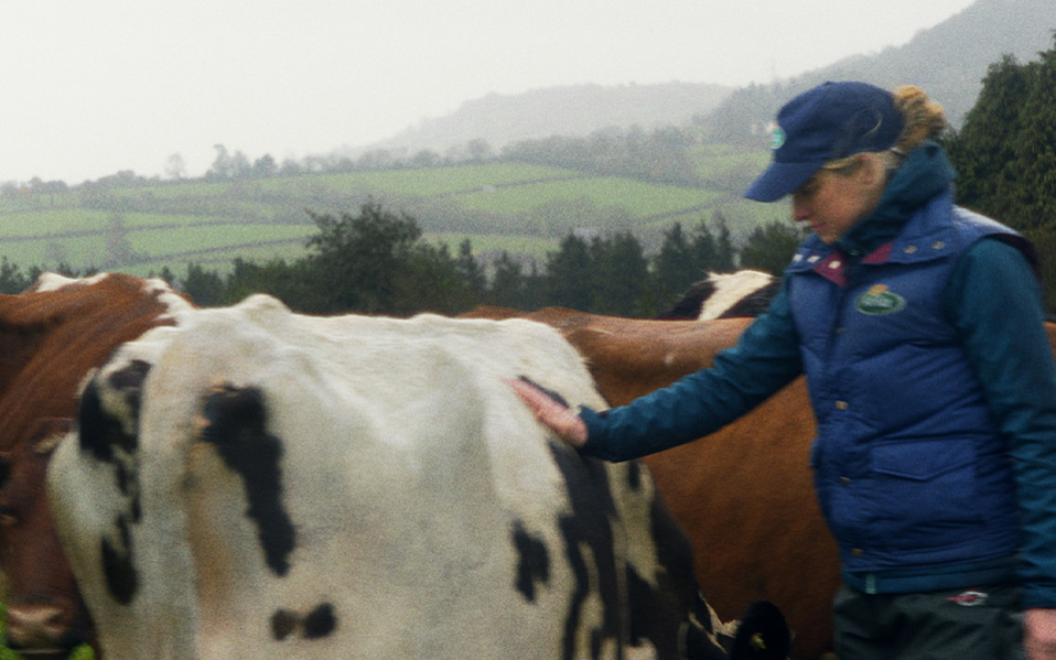 Owned By Farmers | Arla UK