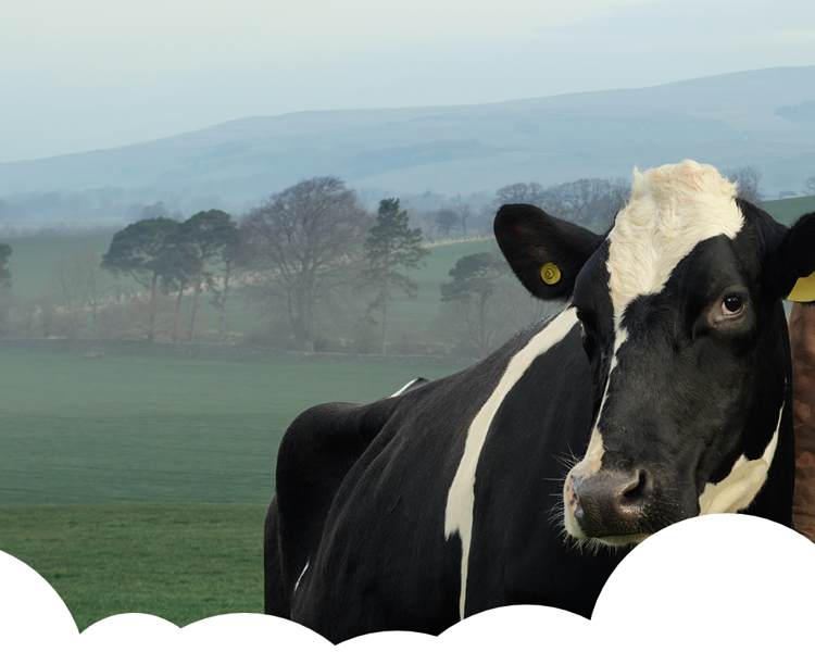 Arla C.A.R.E | Cravendale | Arla UK