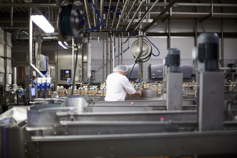 Sustainability In Dairy Production | Arla UK