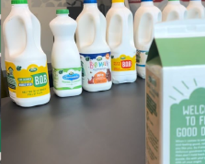 Arla UK - Strength Comes From Within | Arla UK